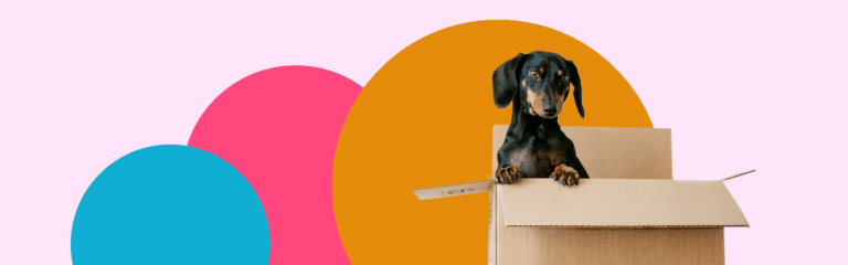 Understanding Exchange and Completion - Chapter Law